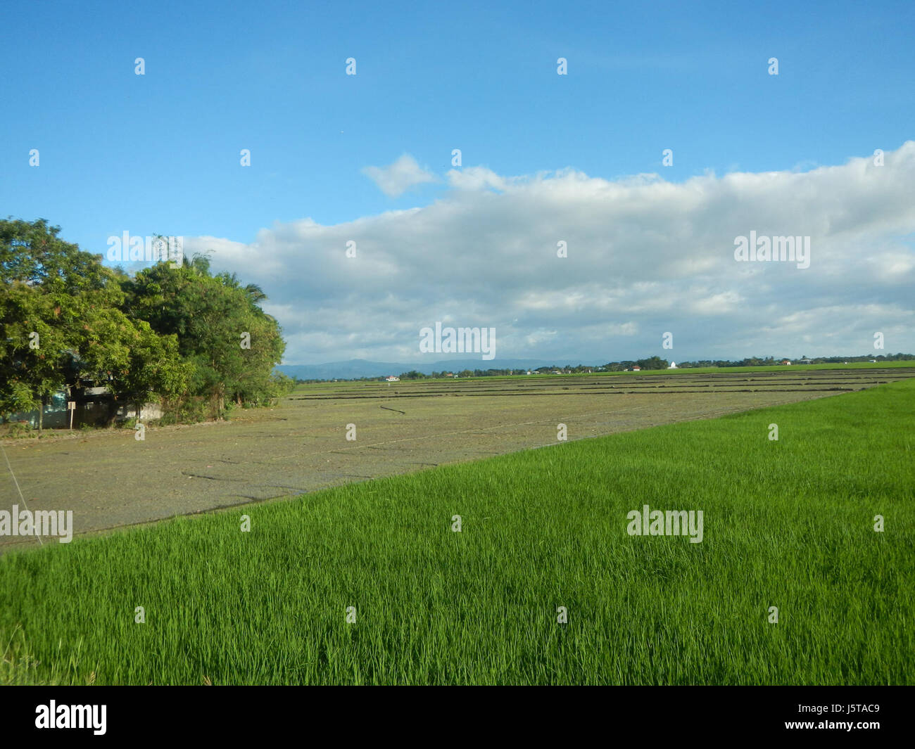 This title refers to a location in Candaba, Pampanga, Philippines ...