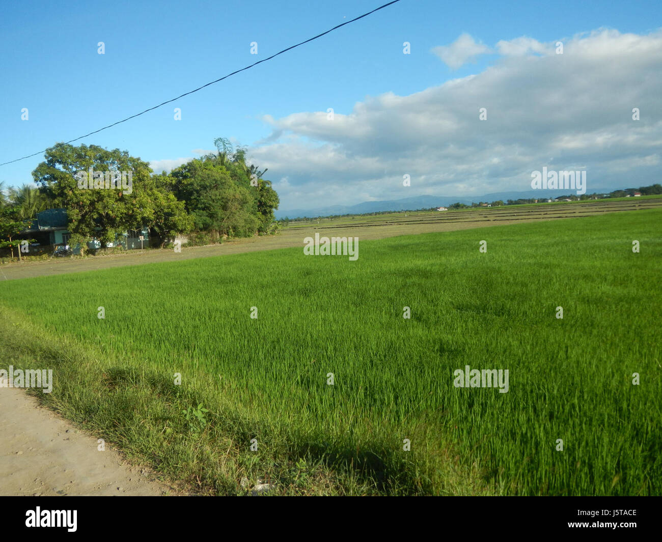Sitios Hulo and Hilerang Patubig in Tagulod, Candaba, Pampanga, are ...