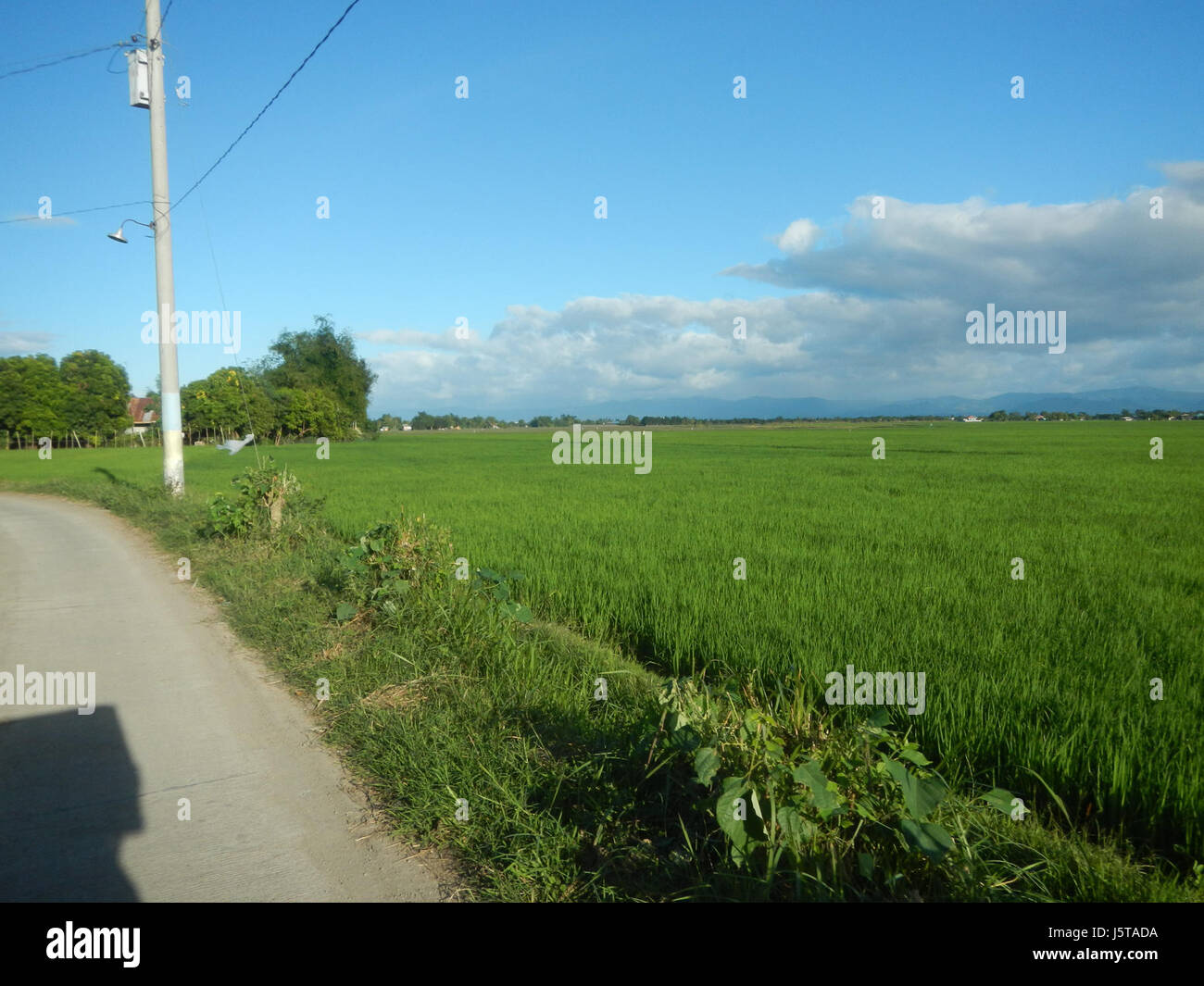 This image shows the local areas of Sitios Centro, Cardenas, Libis, and ...