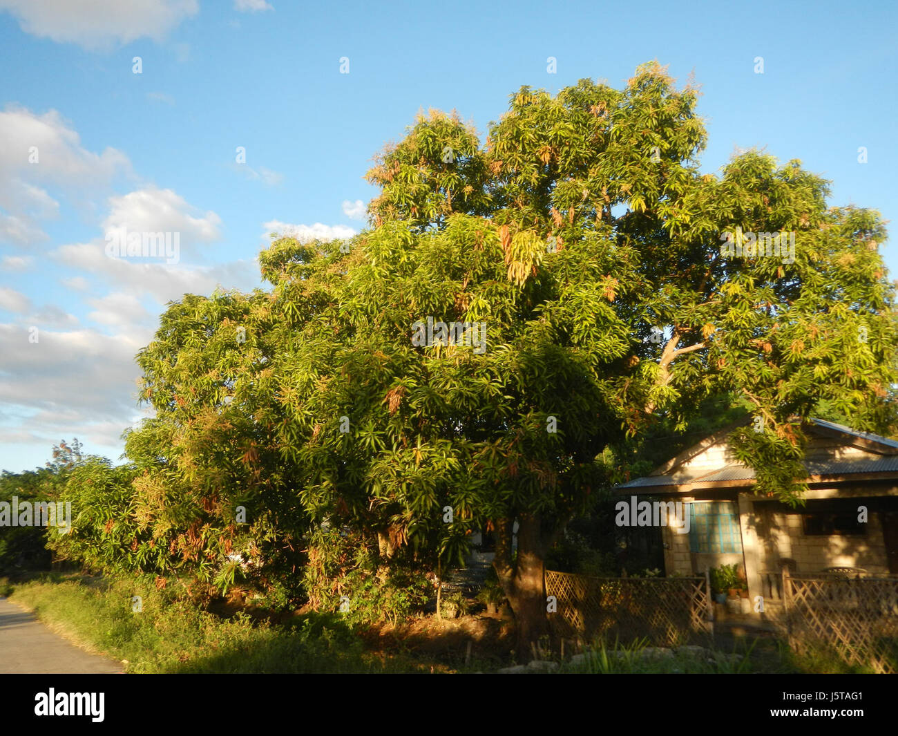 This image depicts the welcome arch at Cuayang Bugtong, Candaba ...