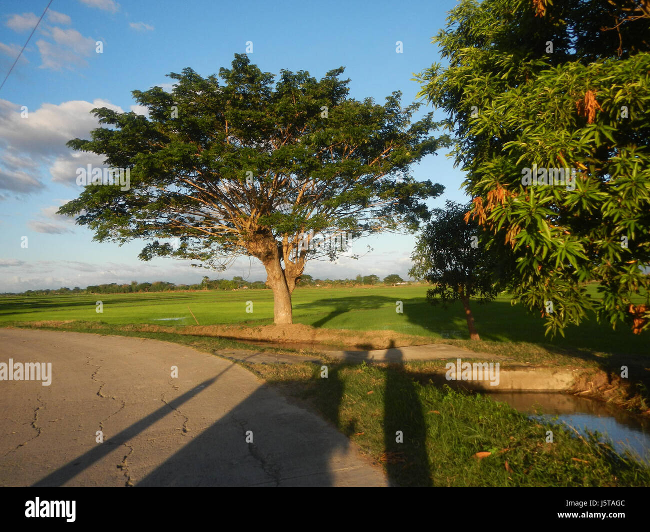 The image shows the Cuayang Bugtong Welcome Arch in Candaba, Pampanga ...
