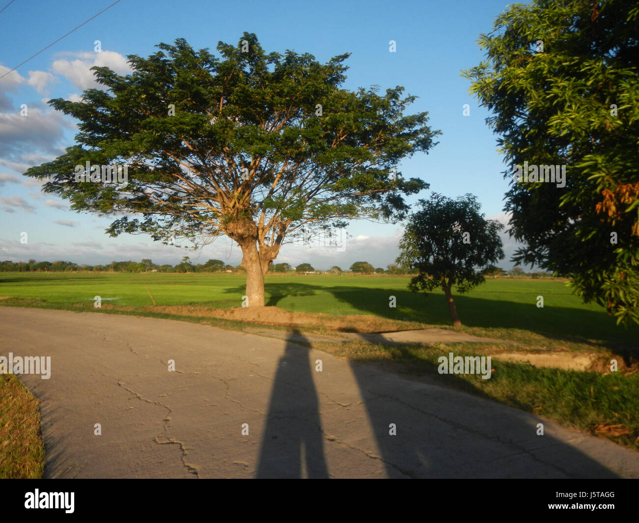 00801 Cuayang Bugtong Welcome Arch Candaba Pampanga Fields Farm Market ...