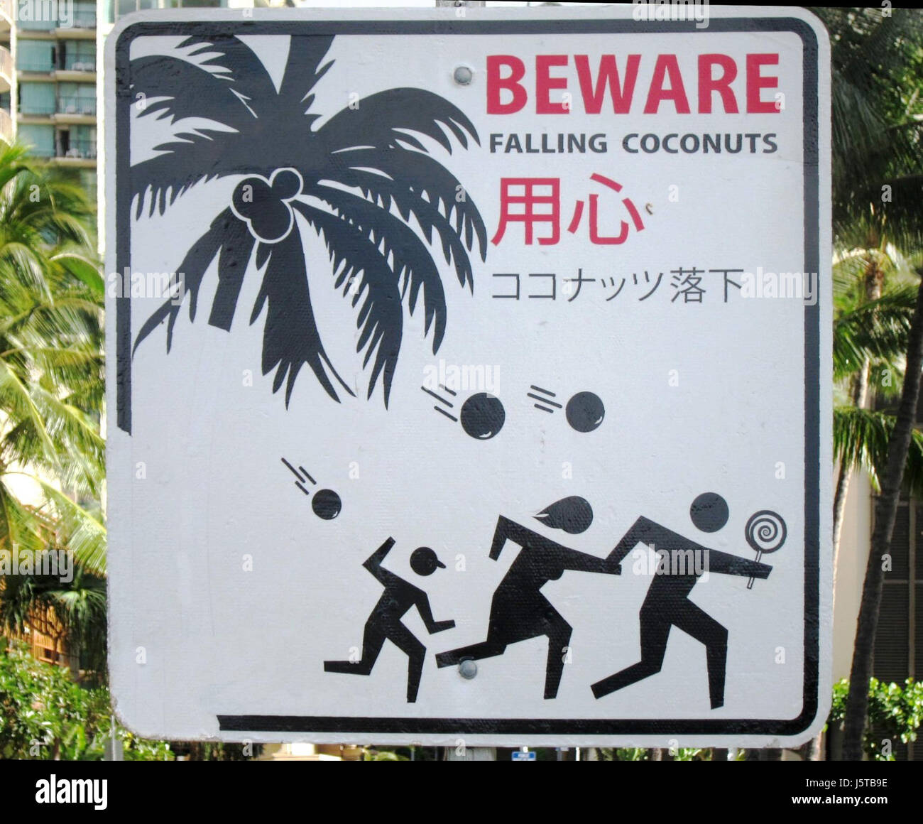 A 'BEWARE FALLING COCONUTS' sign in Honolulu serves as a reminder of ...