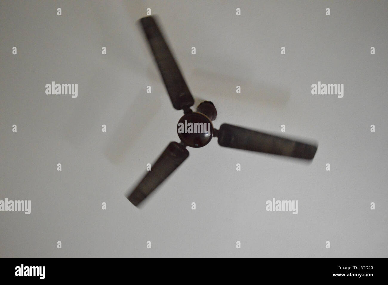 High shutter speeds hi-res stock photography and images - Alamy