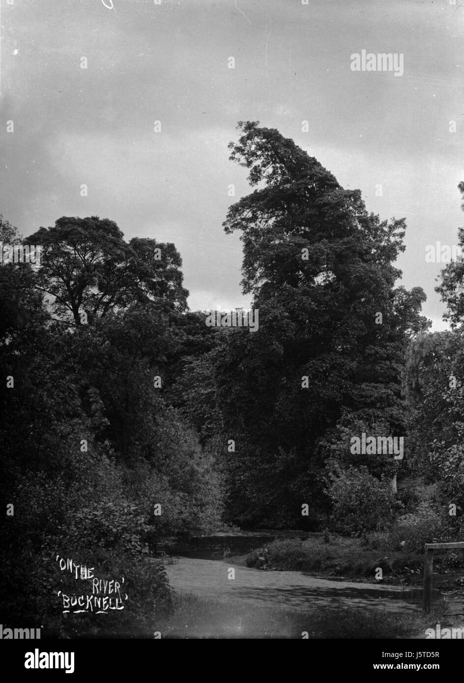 'On the River' is a photograph associated with Bucknell University. It ...