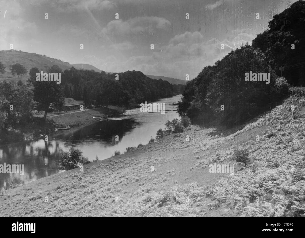 Nyth hi-res stock photography and images - Alamy