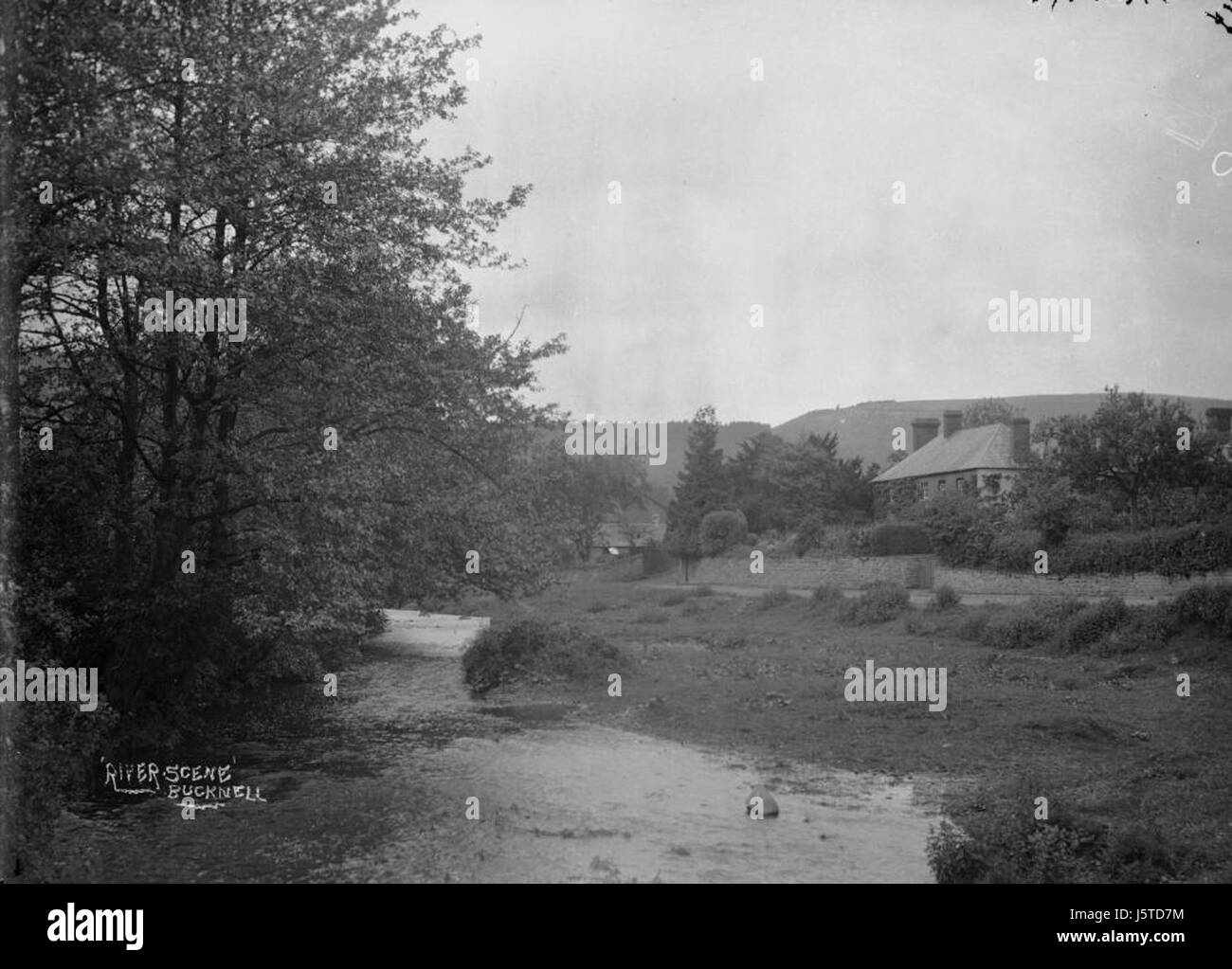 'River Scene' by Bucknell depicts a serene and detailed landscape of a ...