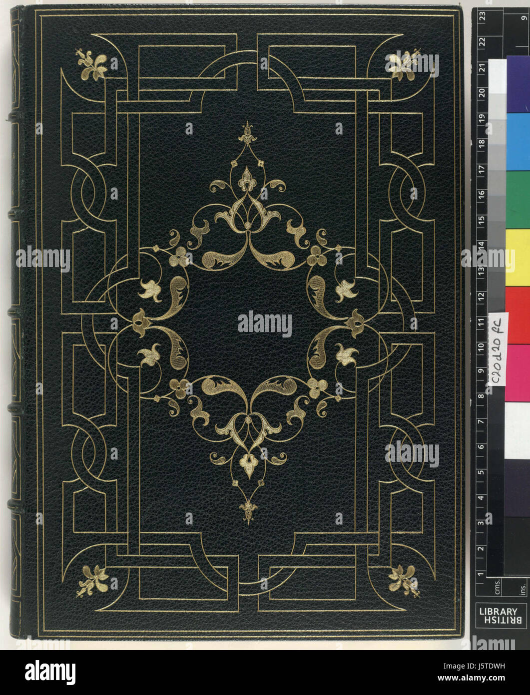 A representation of the upper cover from an item, likely a book or ...