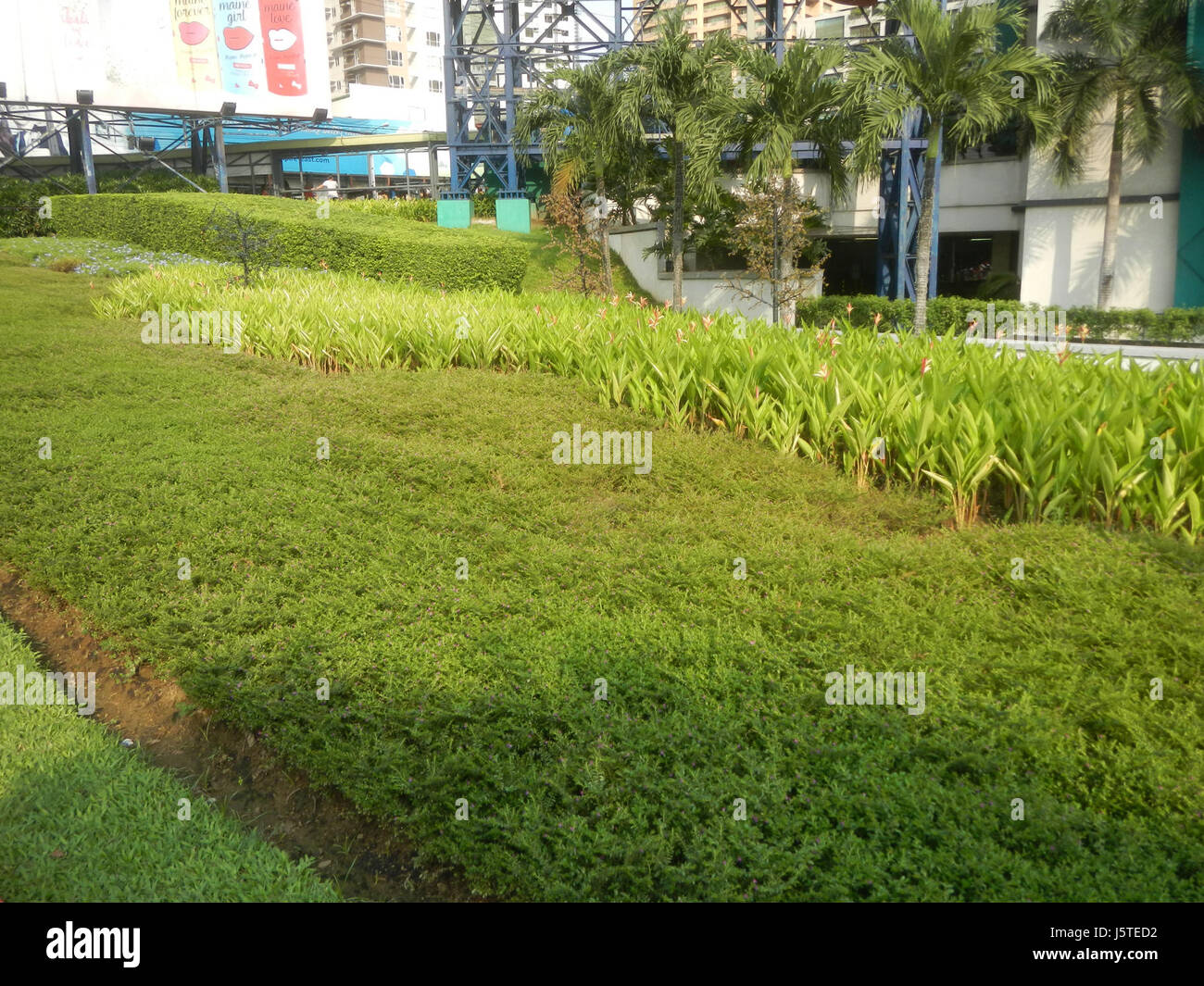 02828 Forum Robinsons Cybergate Malls EDSA Boni Pioneer Street ...