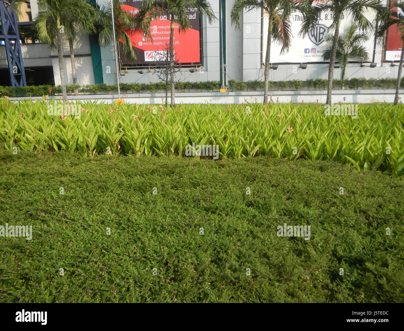 02853 Forum Robinsons Cybergate Malls EDSA Boni Pioneer Street ...