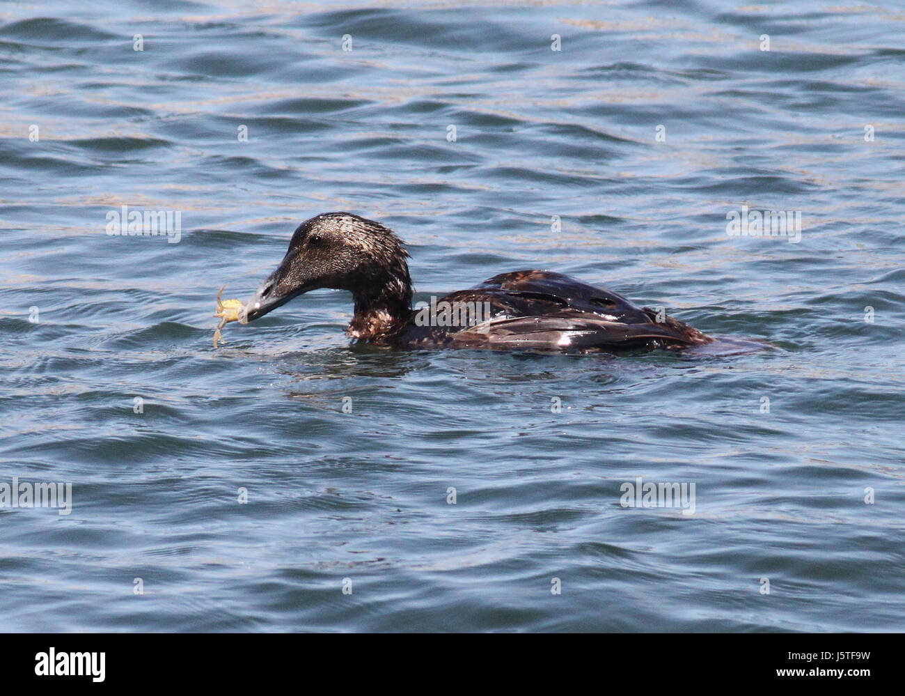 6 8 09 hi-res stock photography and images - Alamy
