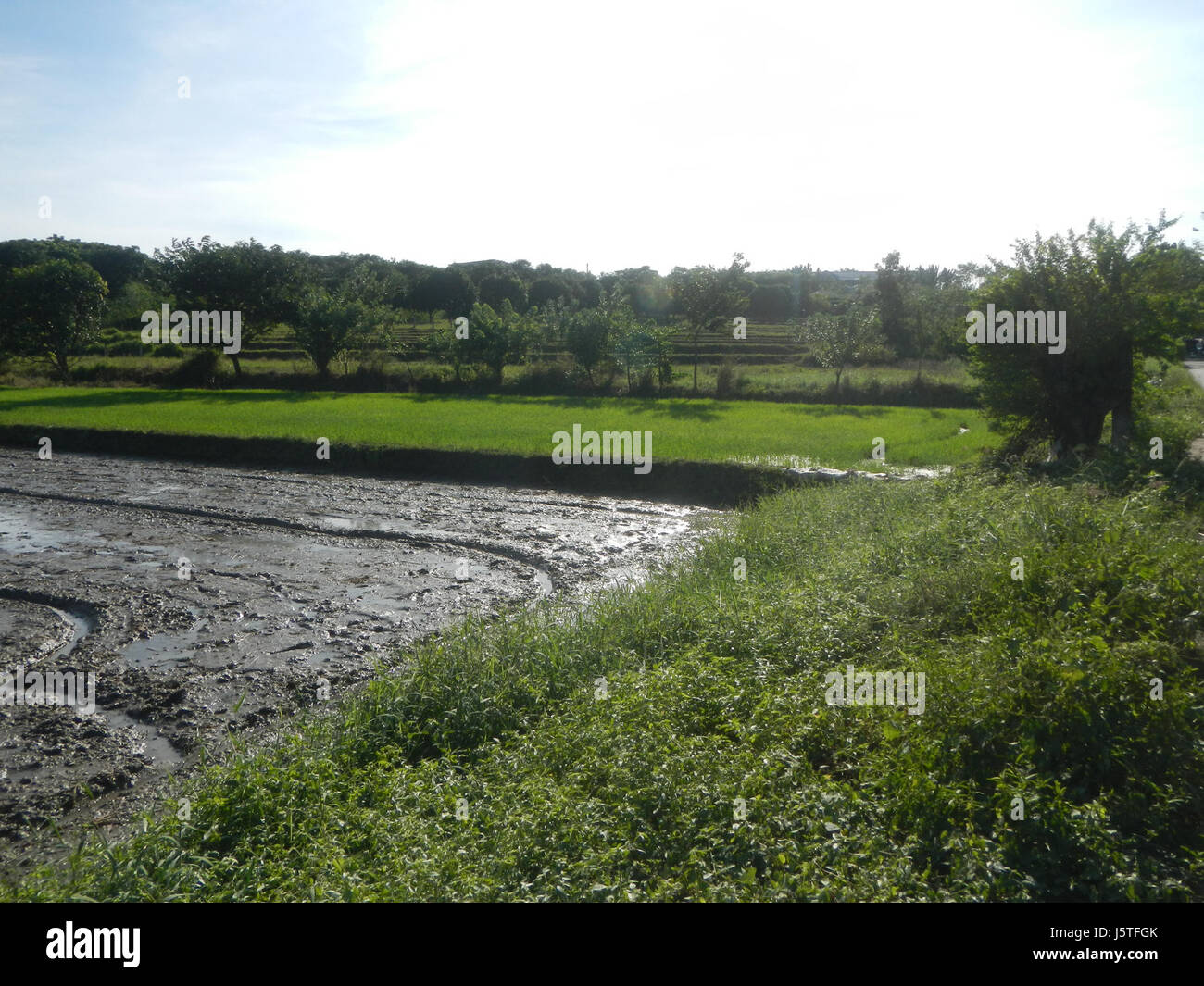 This entry provides a geographical description of San Ildefonso ...