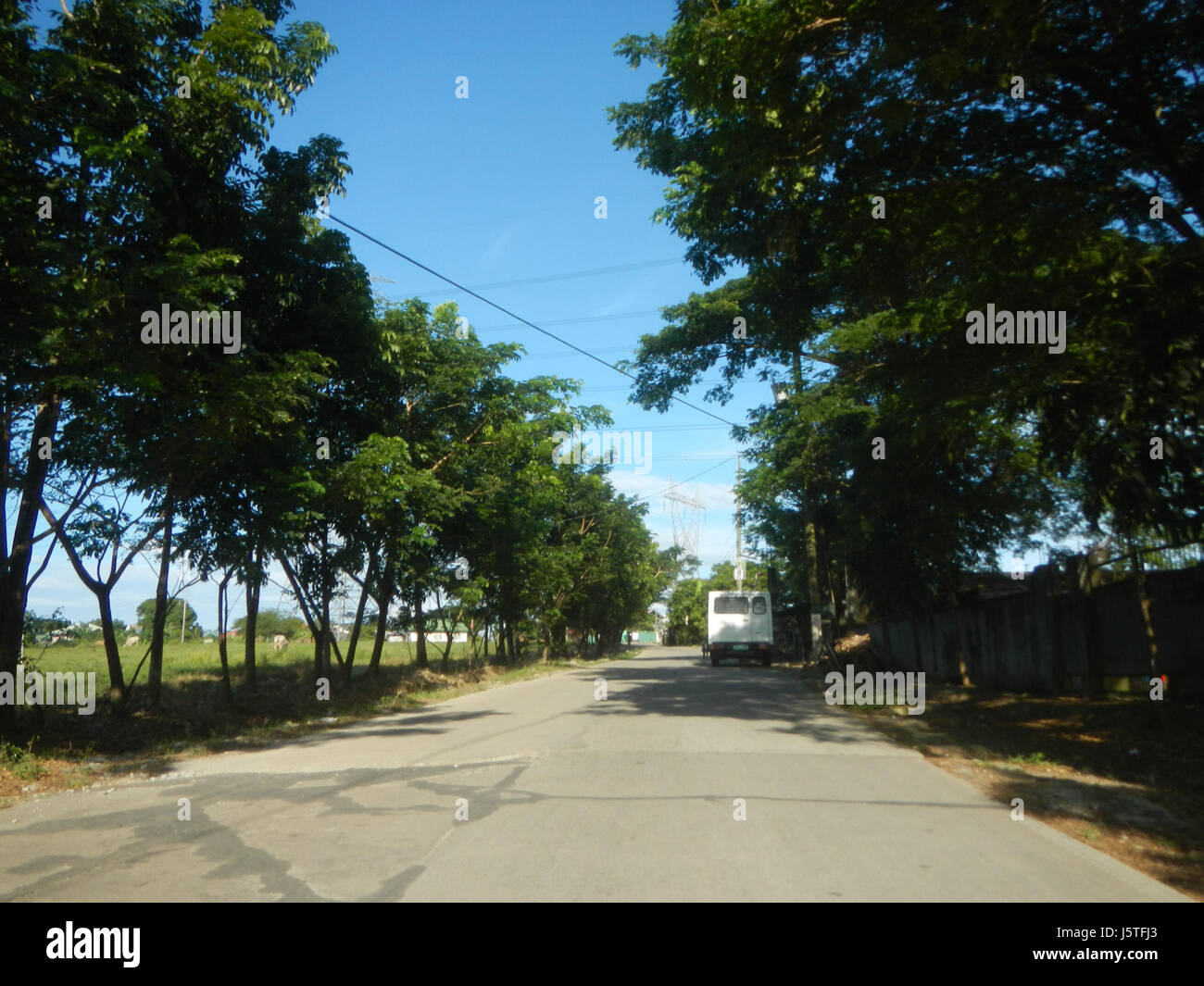 04346 Grasslands paddy fields trees San Ildefonso Bulacan Farm to ...