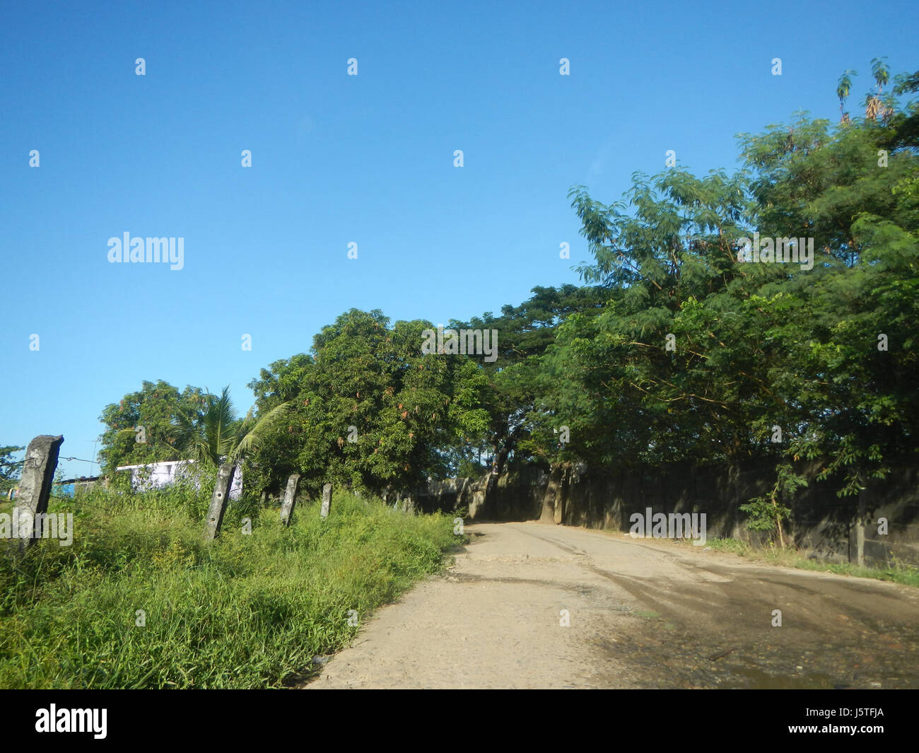 This photograph captures the vast grasslands and paddy fields of San ...