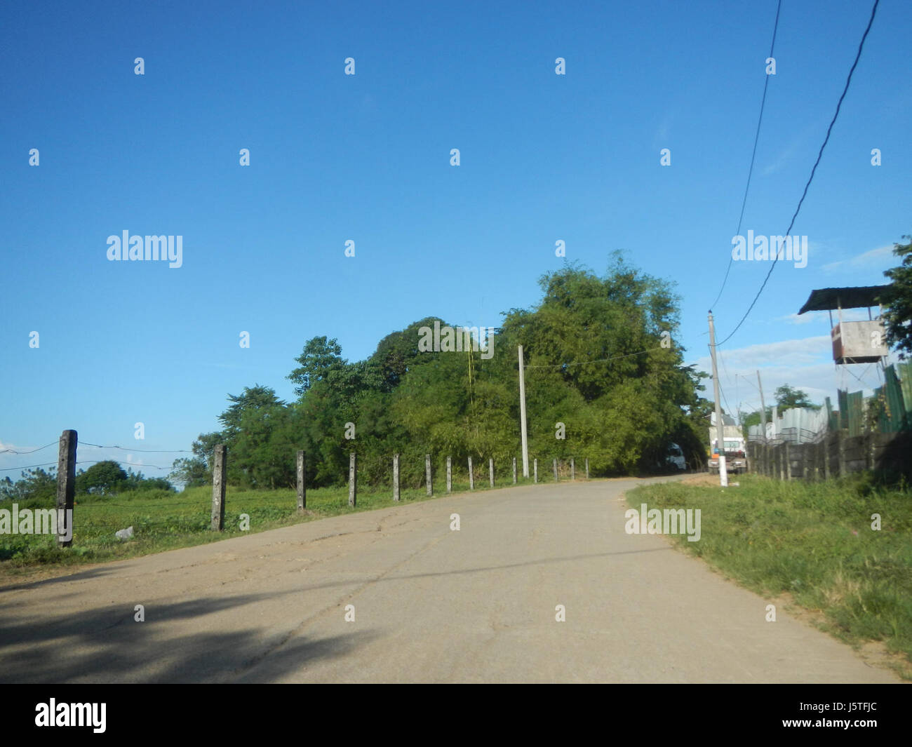04346 Grasslands paddy fields trees San Ildefonso Bulacan Farm to ...