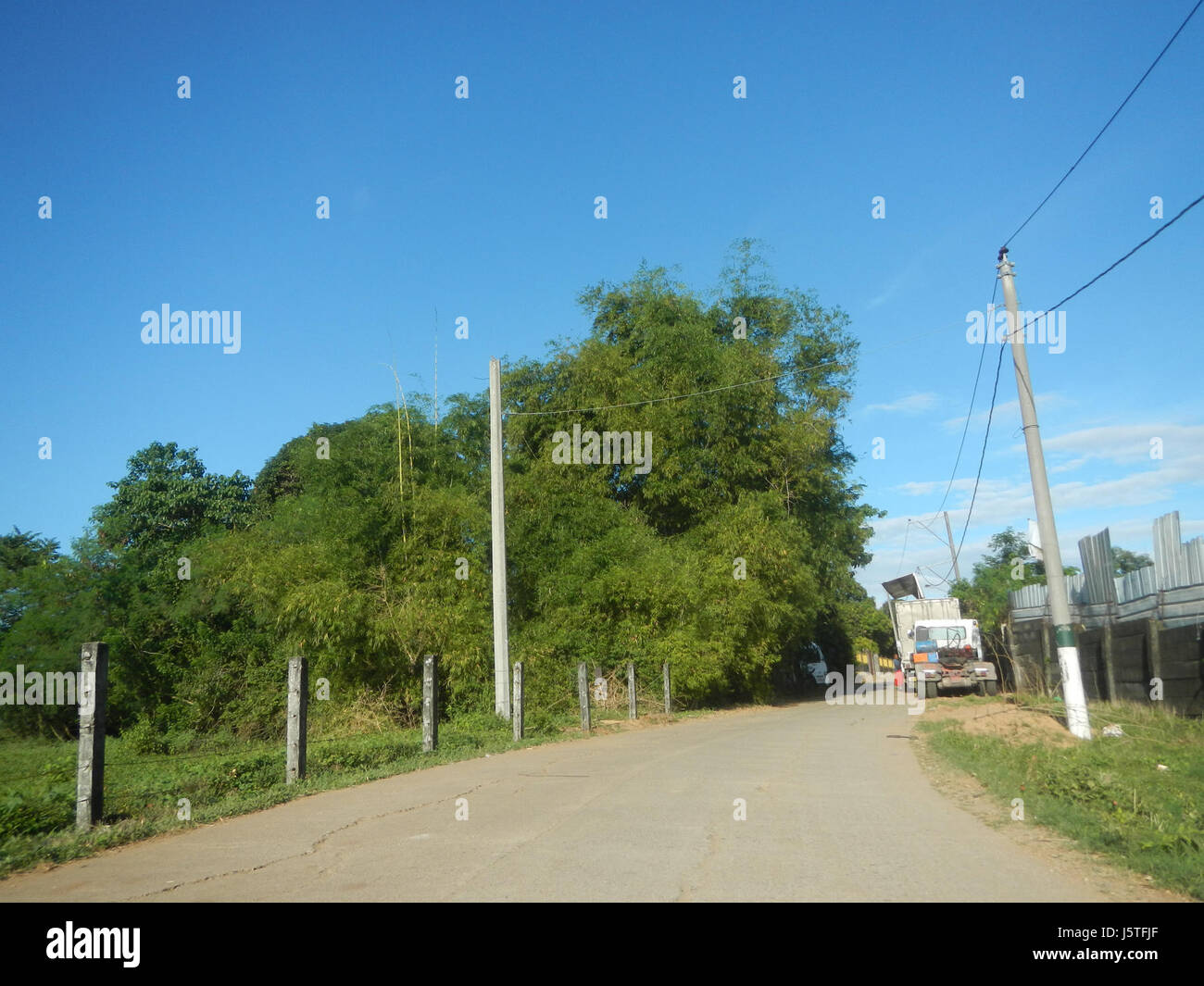 04346 Grasslands paddy fields trees San Ildefonso Bulacan Farm to ...