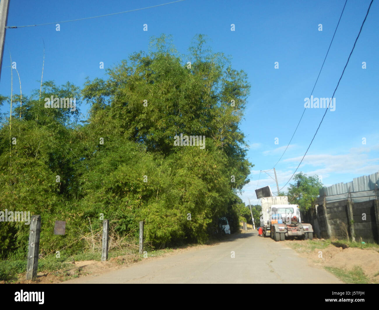 04346 Grasslands paddy fields trees San Ildefonso Bulacan Farm to ...