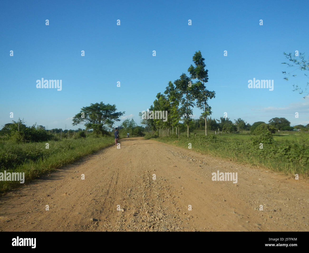 04375 Grasslands paddy fields trees San Ildefonso Bulacan Farm to ...