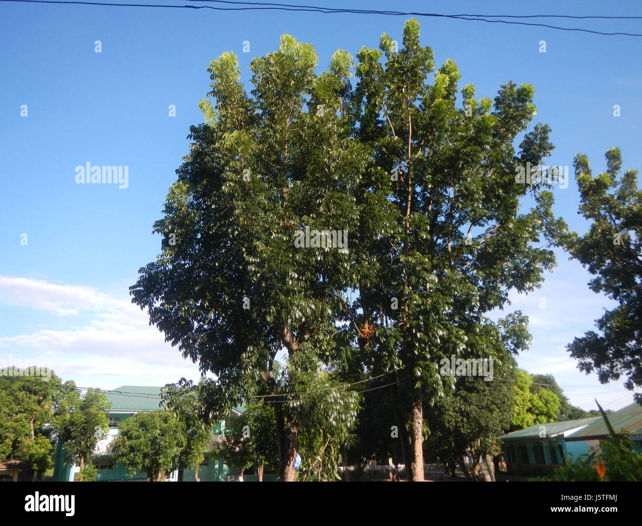 Parents teachers local community hi-res stock photography and images ...