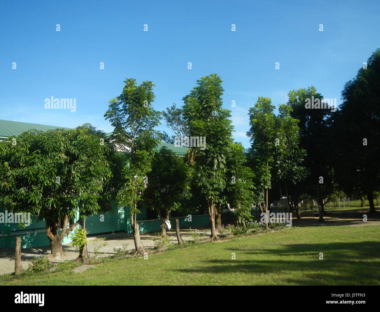 Extracurricular management hi-res stock photography and images - Alamy