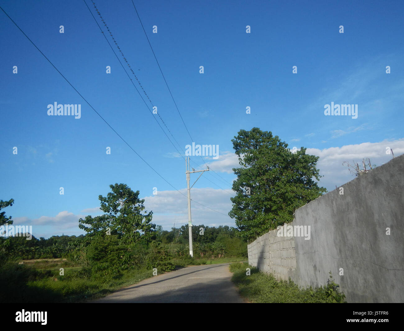 04485 Grasslands paddy fields trees San Ildefonso Bulacan Farm to ...
