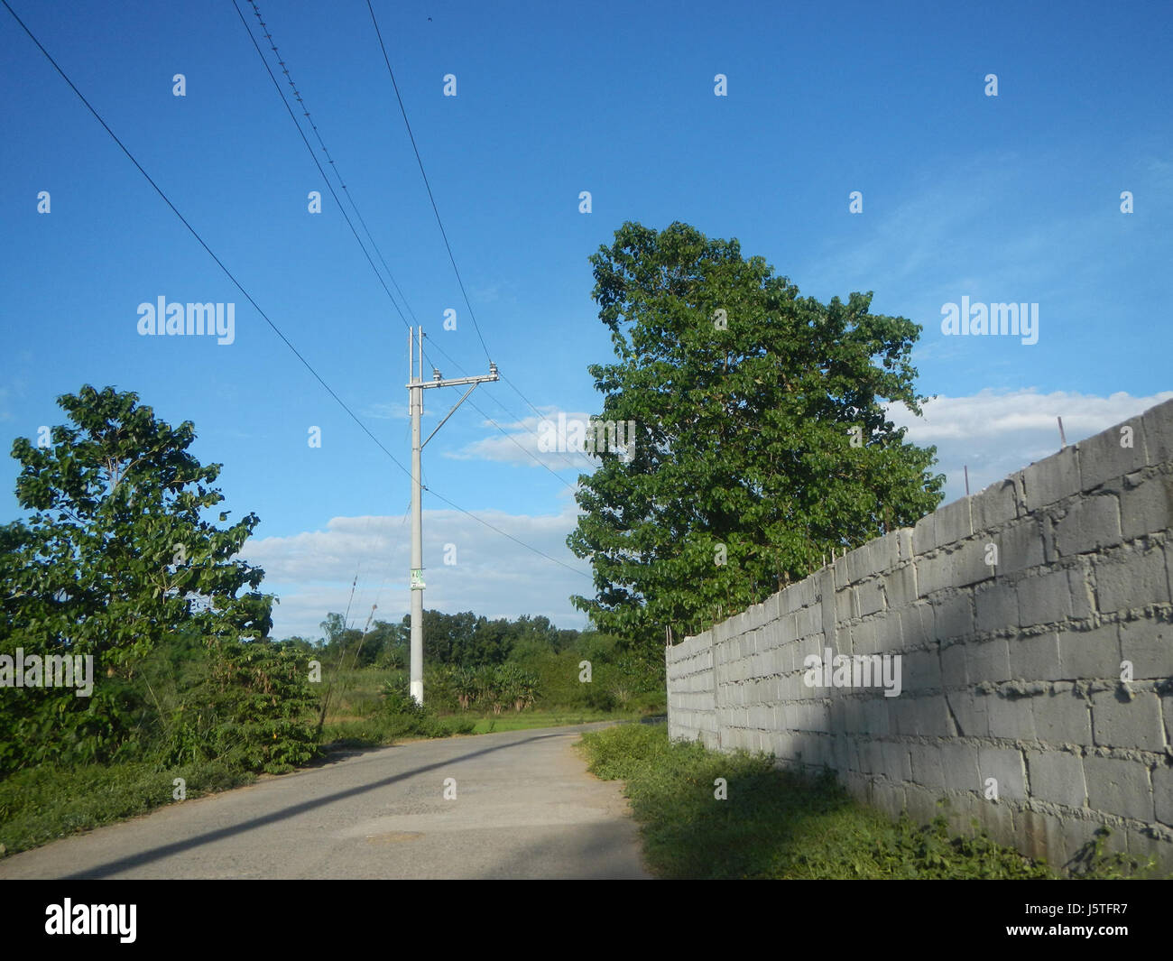 04485 Grasslands paddy fields trees San Ildefonso Bulacan Farm to ...