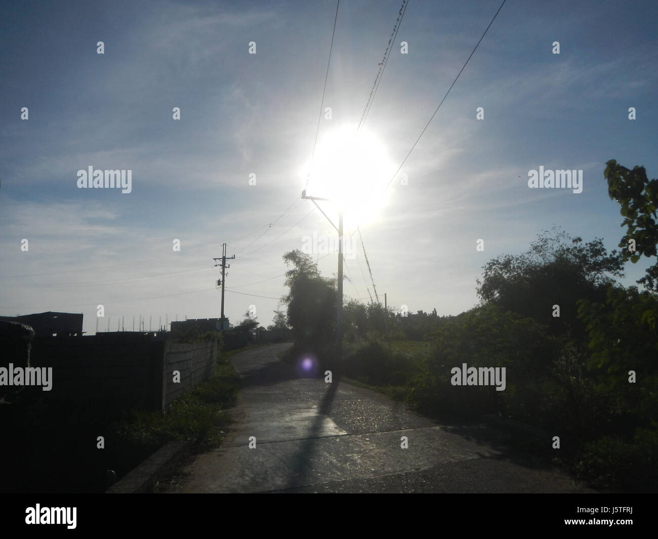 04485 Grasslands paddy fields trees San Ildefonso Bulacan Farm to ...