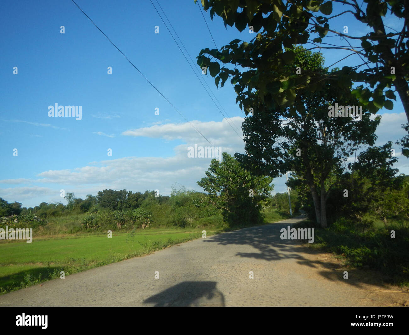 This image showcases the agricultural landscape of San Ildefonso ...