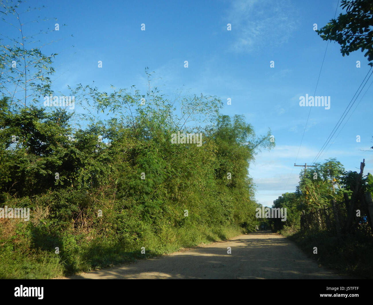 The farm to market road in San Ildefonso, Bulacan, connects grasslands ...