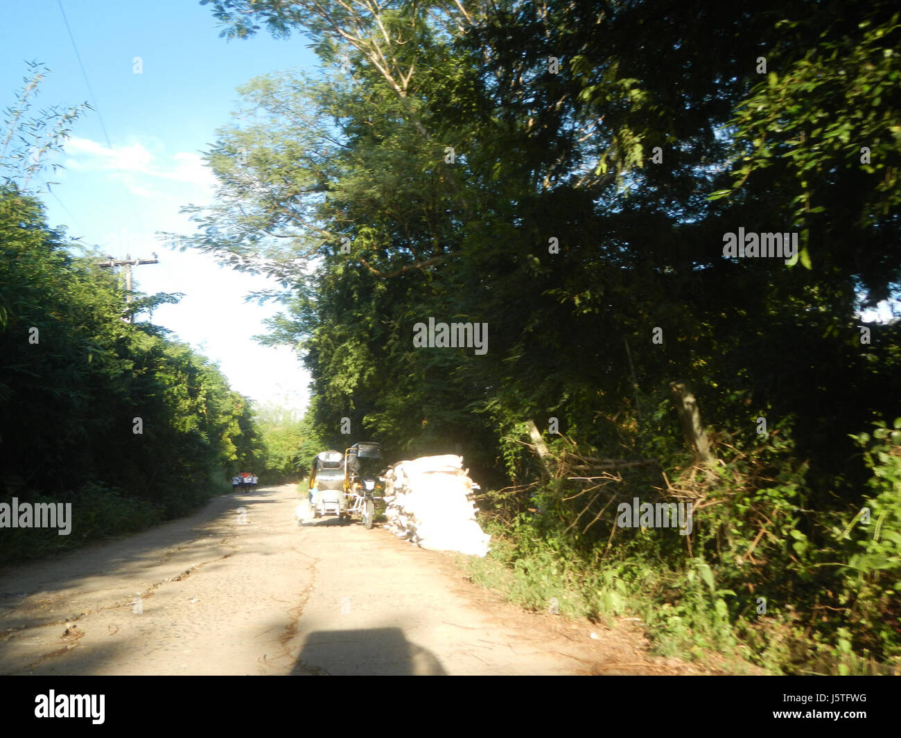 04565 Grasslands paddy fields trees Schools San Ildefonso Bulacan Farm ...