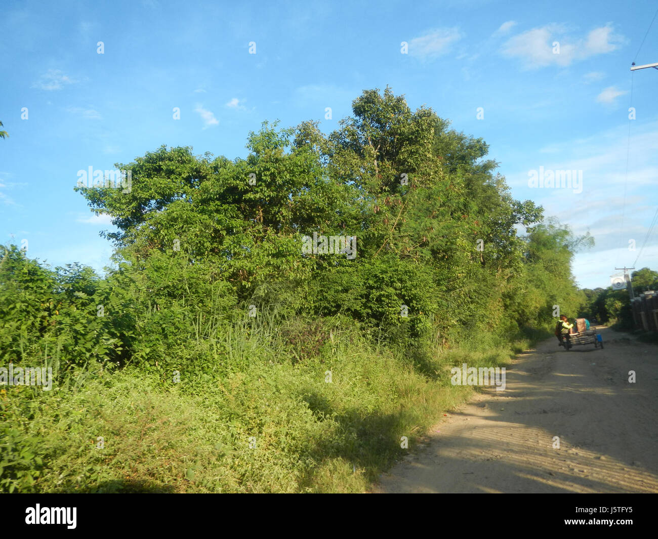 The image represents the rural landscape of San Ildefonso, Bulacan ...