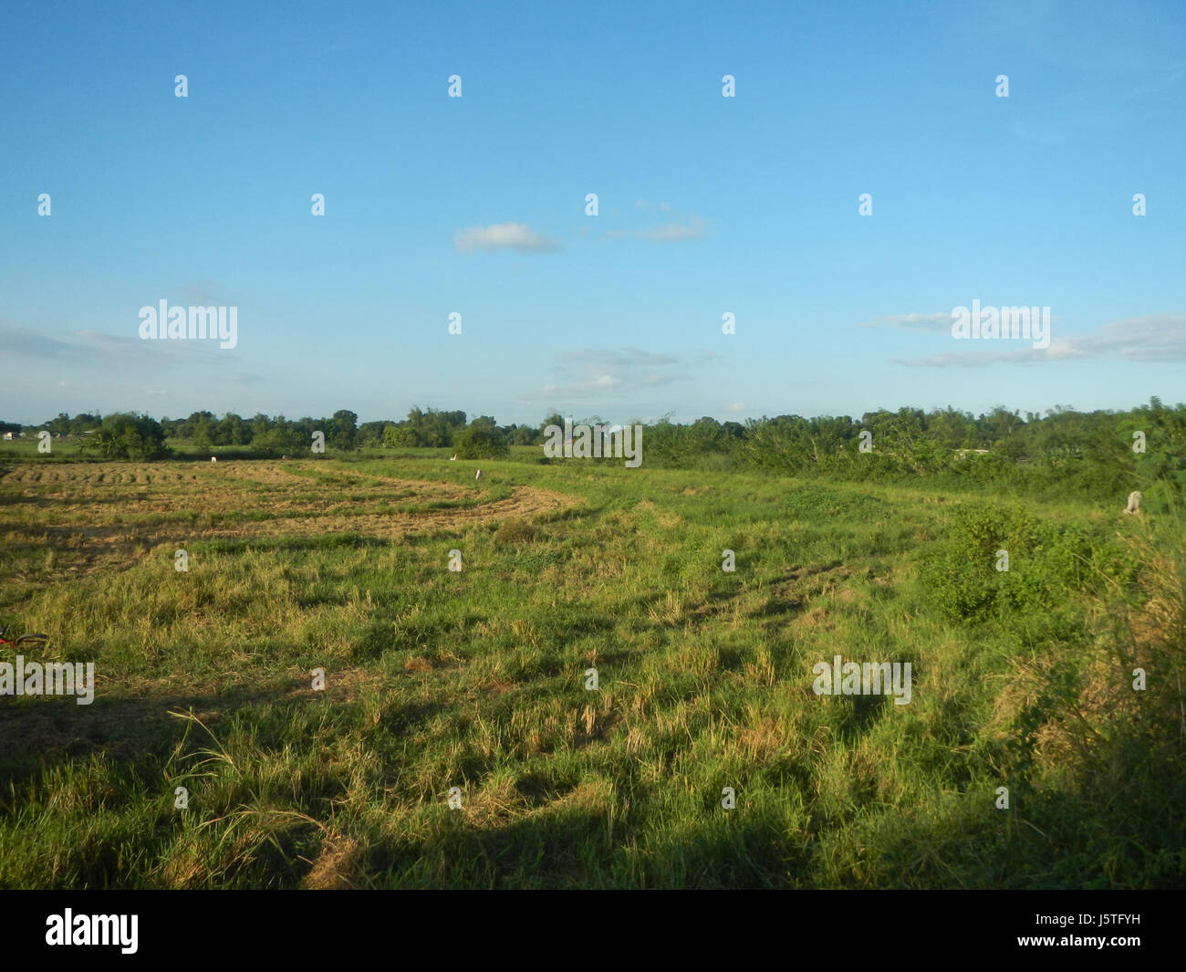 This photograph depicts the rural landscape of San Ildefonso, Bulacan ...