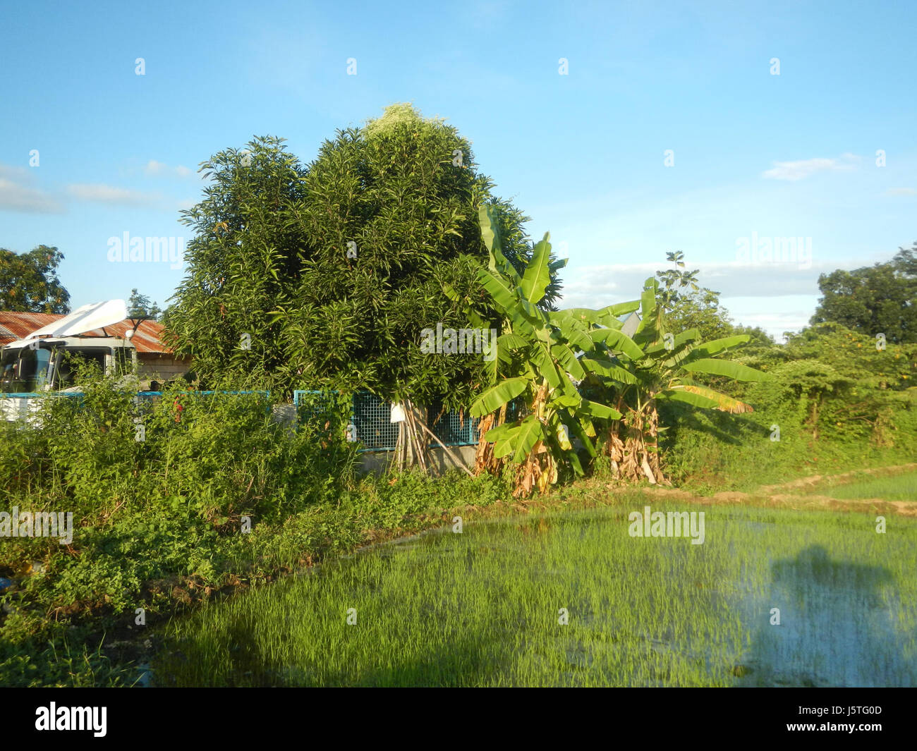 This image depicts the rural landscape of San Ildefonso, Bulacan ...