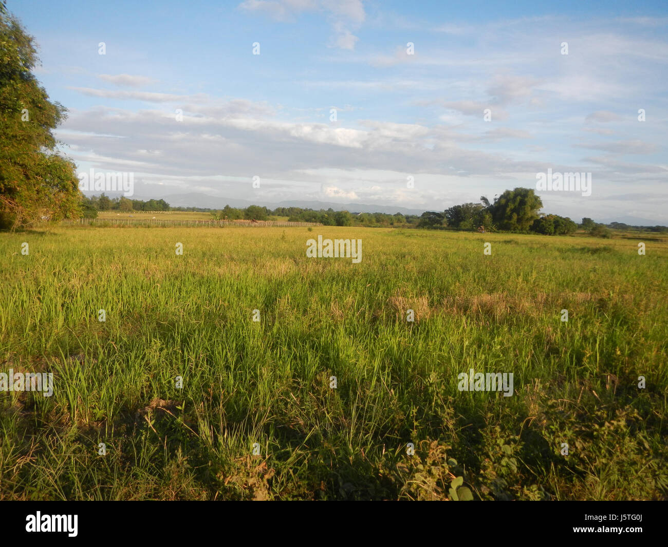This image references the farm to market road in San Ildefonso, Bulacan ...