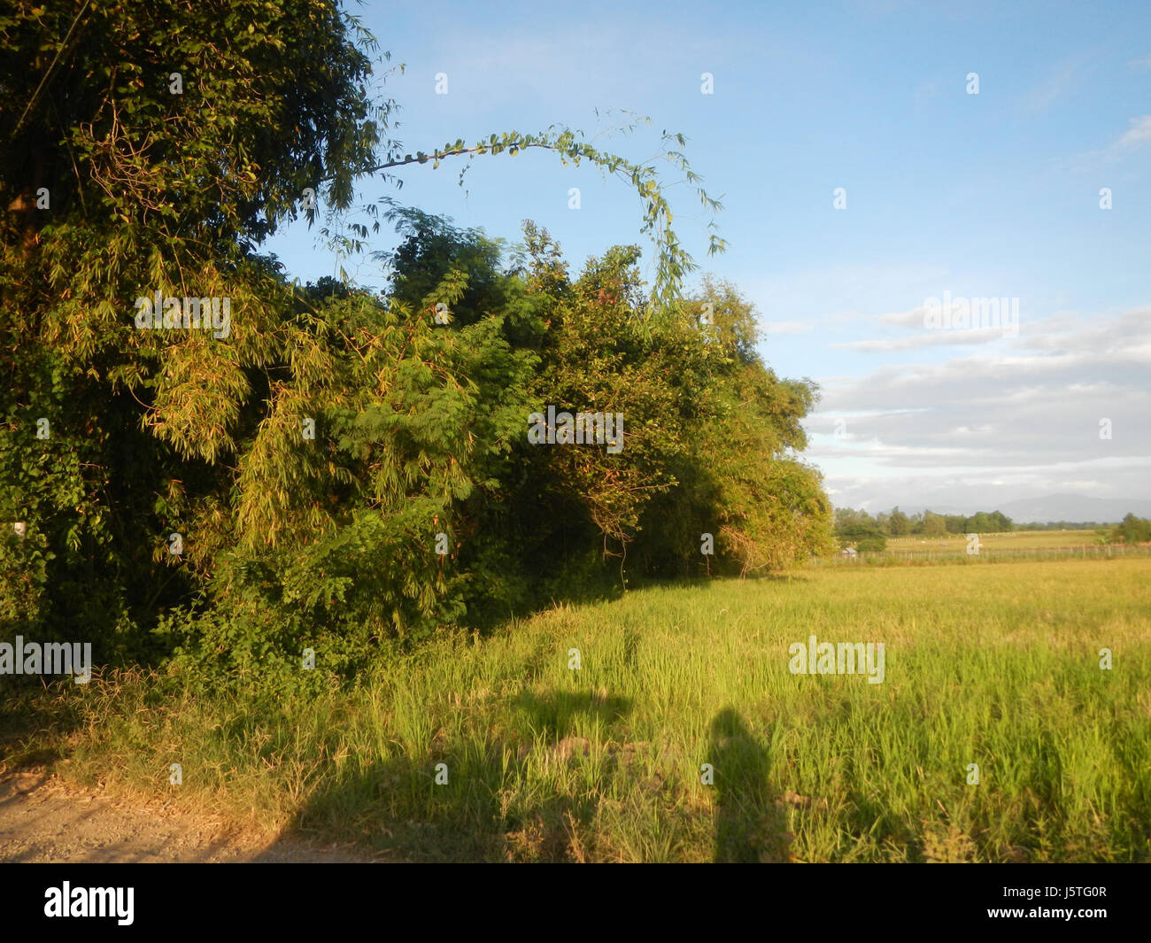 This photograph depicts the rural landscape of San Ildefonso, Bulacan ...