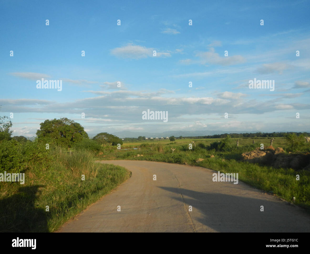 04651 Grasslands paddy fields trees San Ildefonso Bulacan Farm to ...