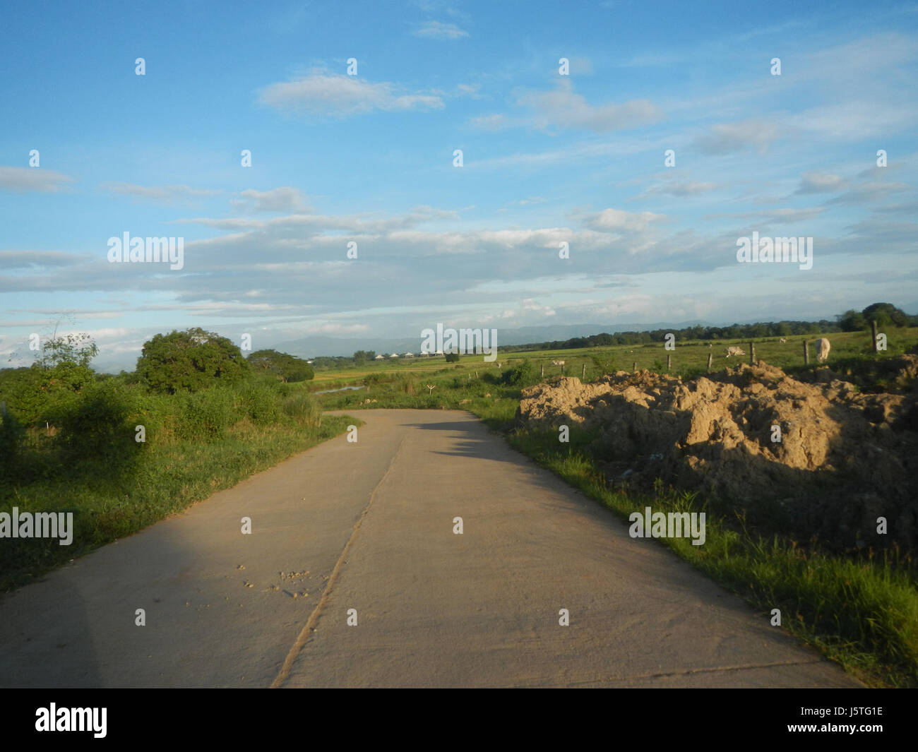 04651 Grasslands paddy fields trees San Ildefonso Bulacan Farm to ...