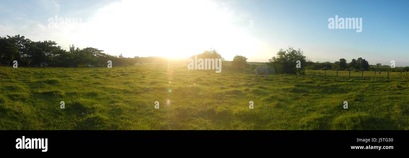 This photograph depicts the rural landscape of San Ildefonso, Bulacan ...