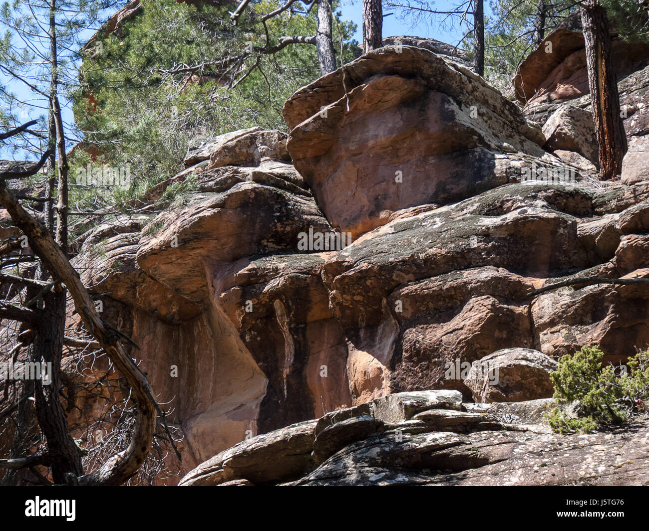 56104 hi-res stock photography and images - Alamy