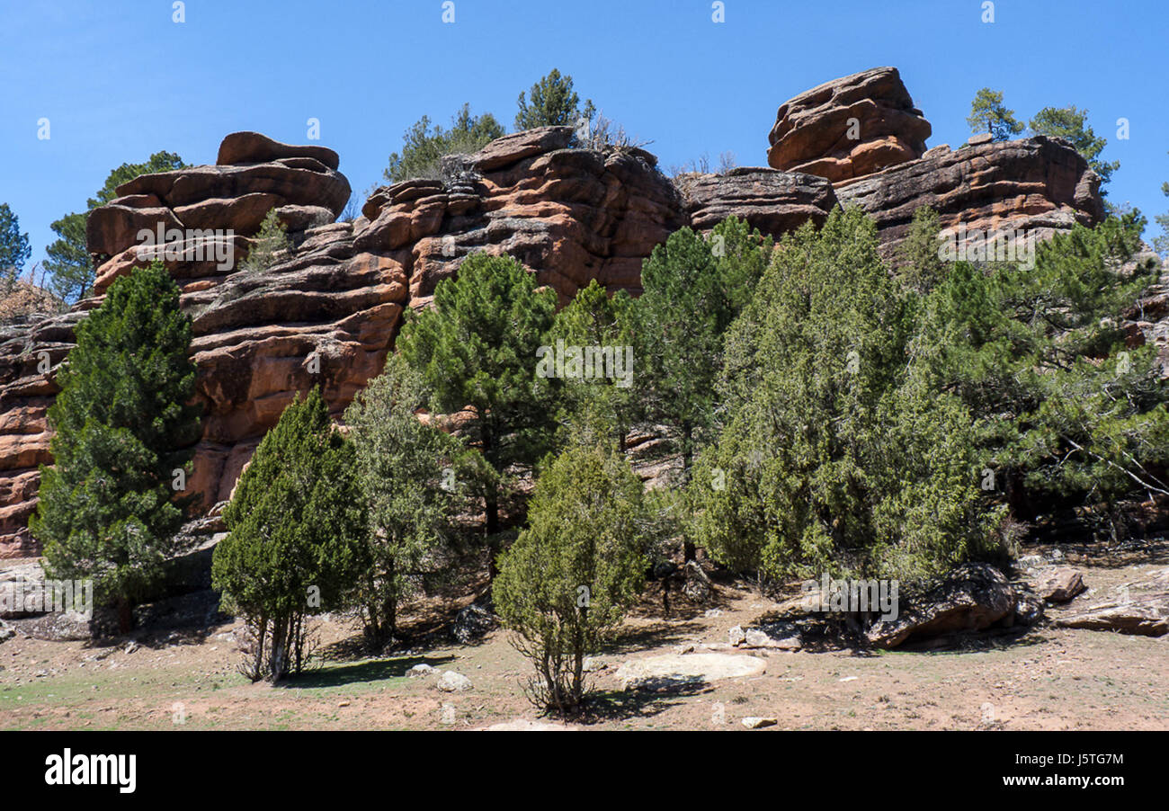 56107 hi-res stock photography and images - Alamy