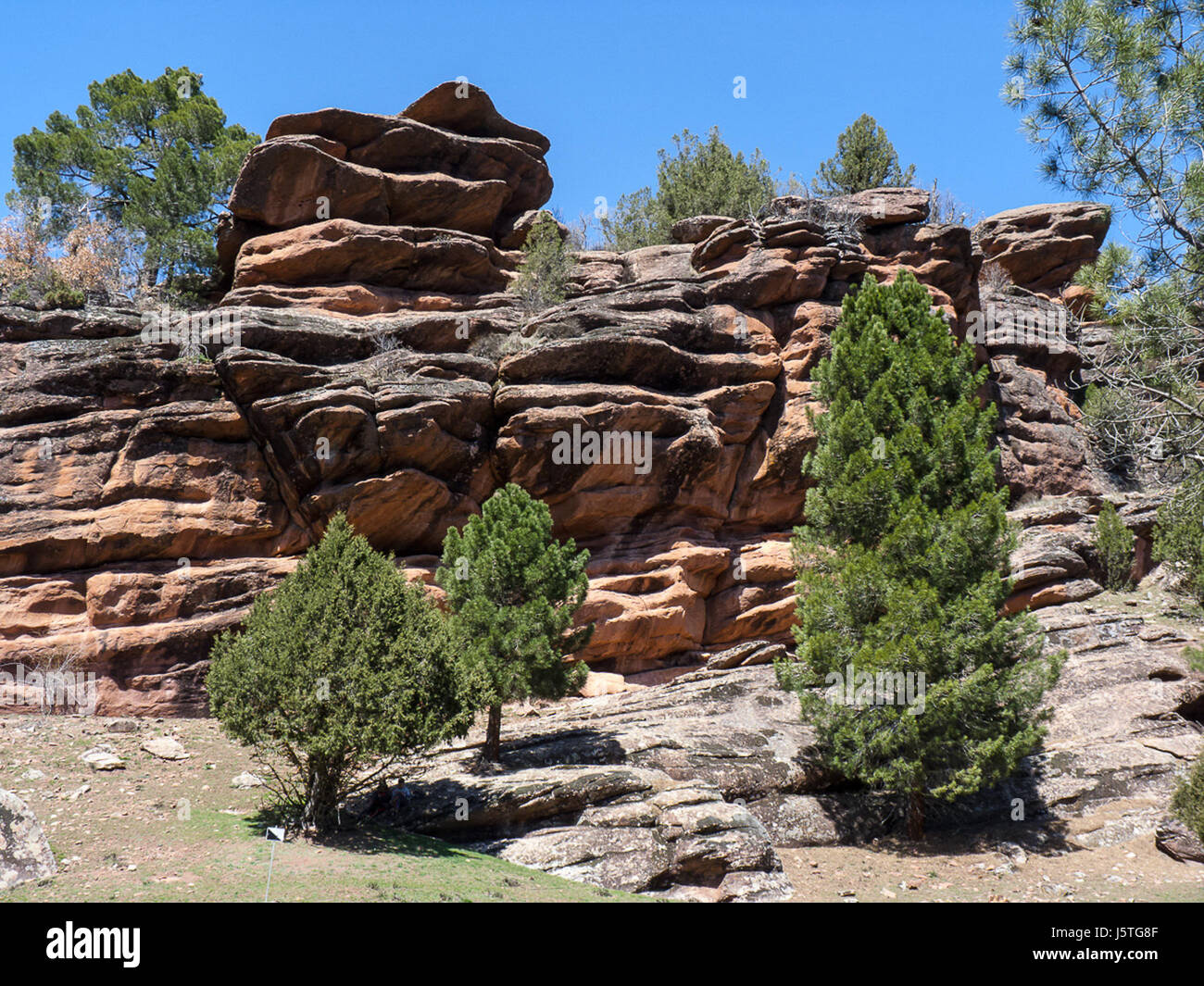 56111 hi-res stock photography and images - Alamy