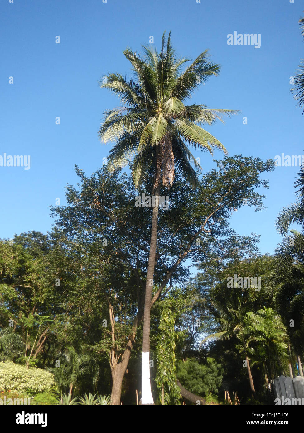 The location refers to Wack-Wack Greenhills East along William James ...