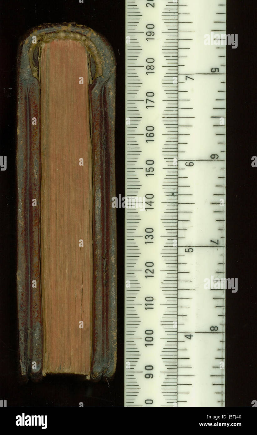 Tail edge hi-res stock photography and images - Alamy