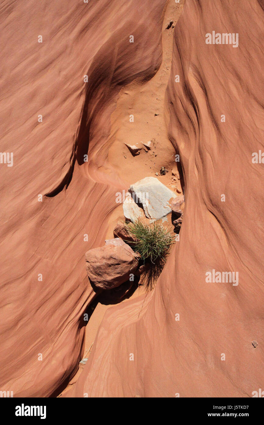 This photograph depicts a side canyon off Poison Springs Canyon, taken ...