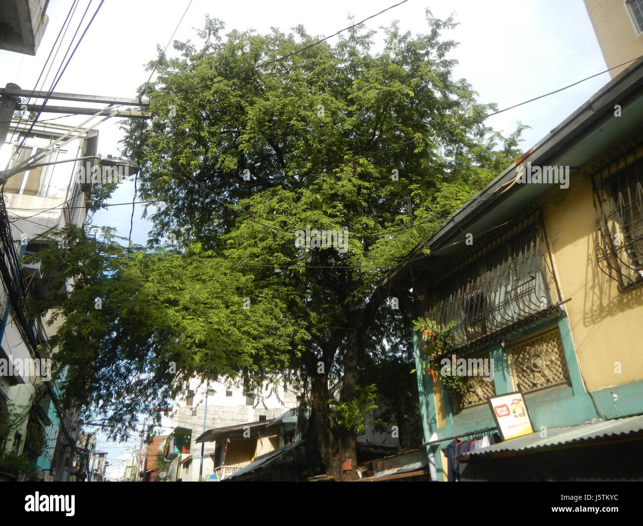 0354 Barangays Maysilo Circle Monuments Boni Avenue San Jose ...