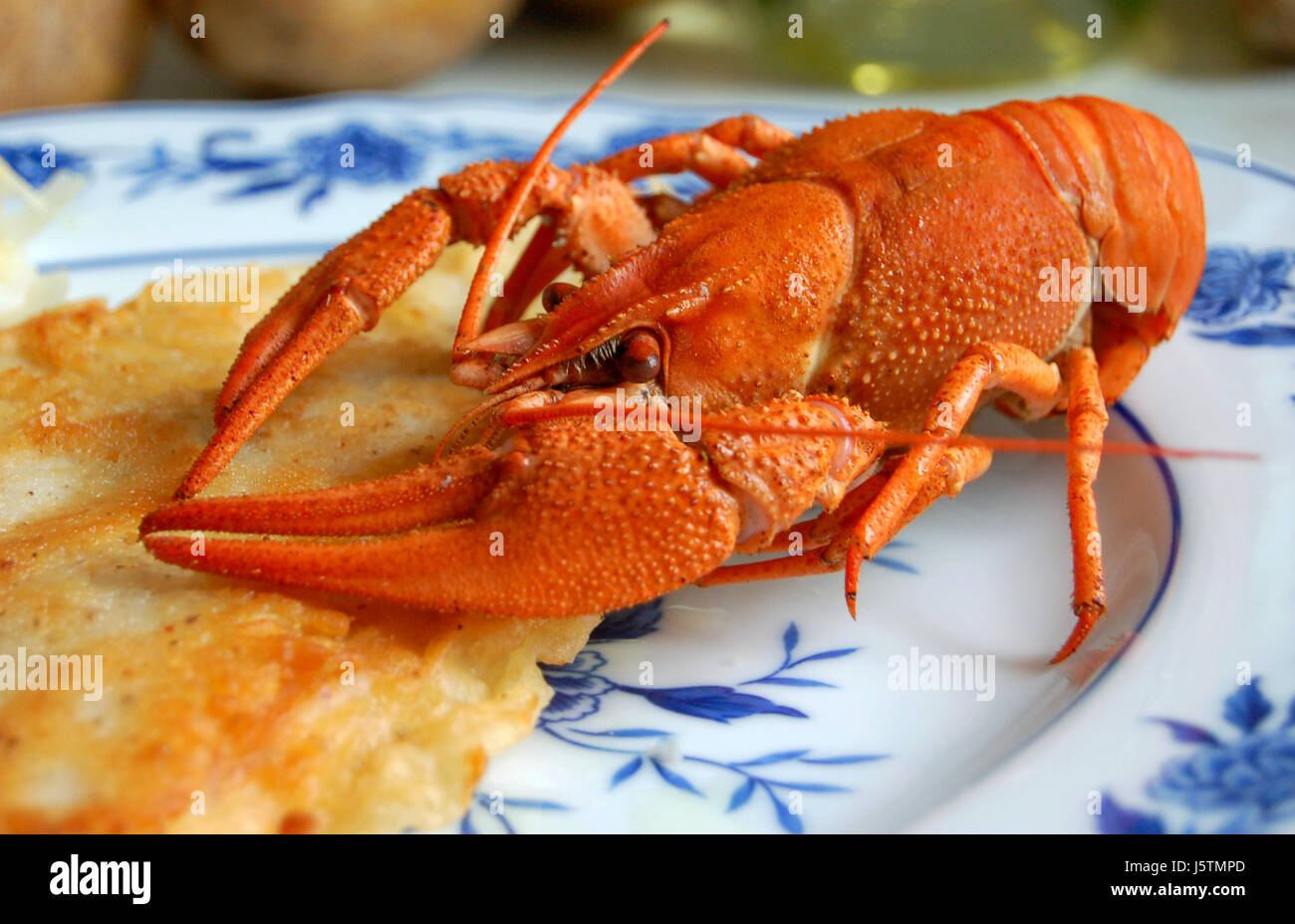 food aliment hunger fish kitchen cuisine dainty fillet sideboard lemon ...