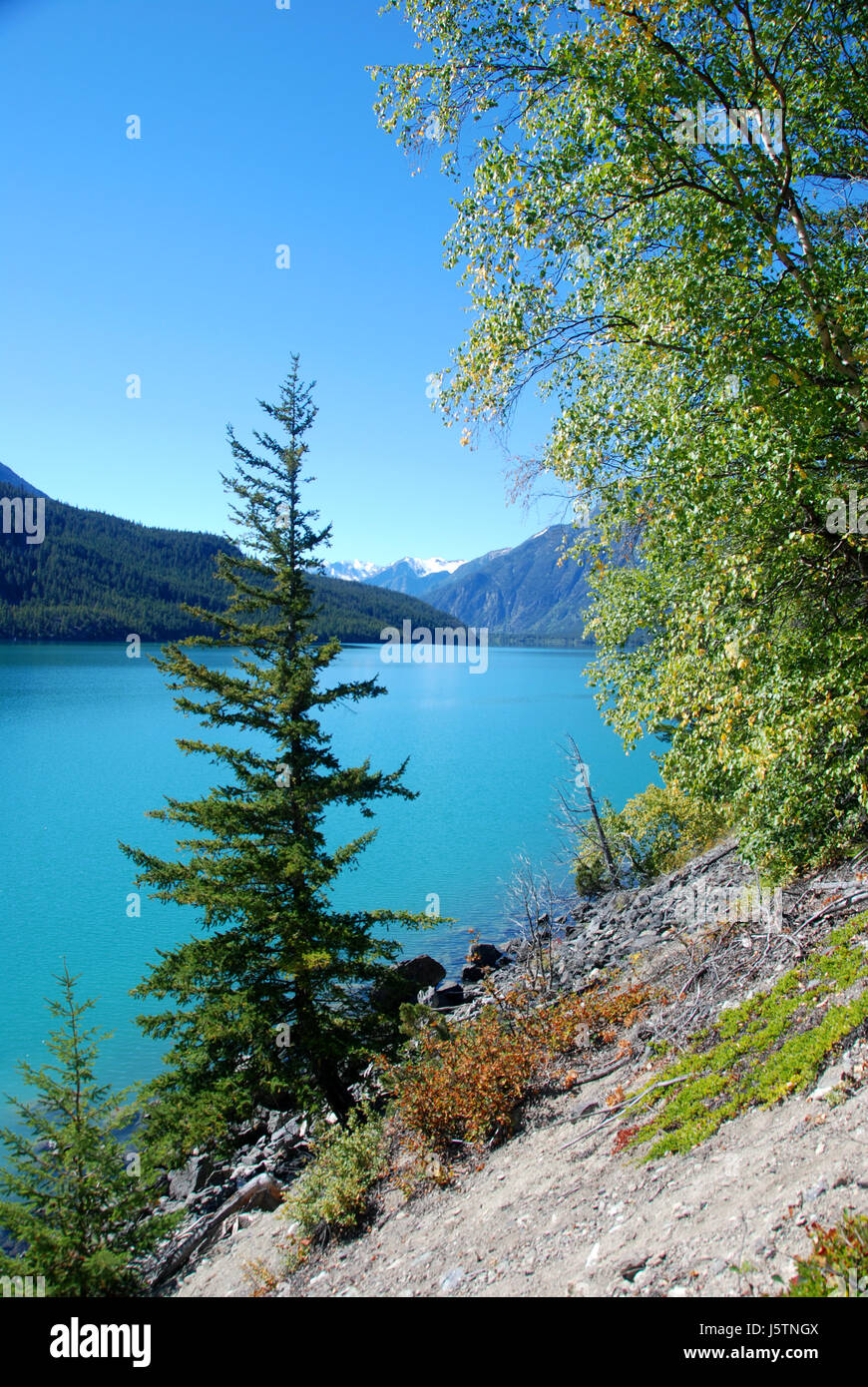 middle lake canada bc Stock Photo - Alamy