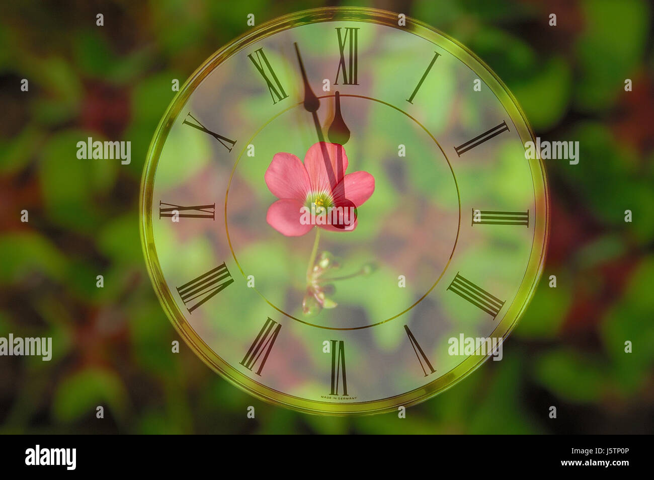 Neuanfang hi-res stock photography and images - Alamy