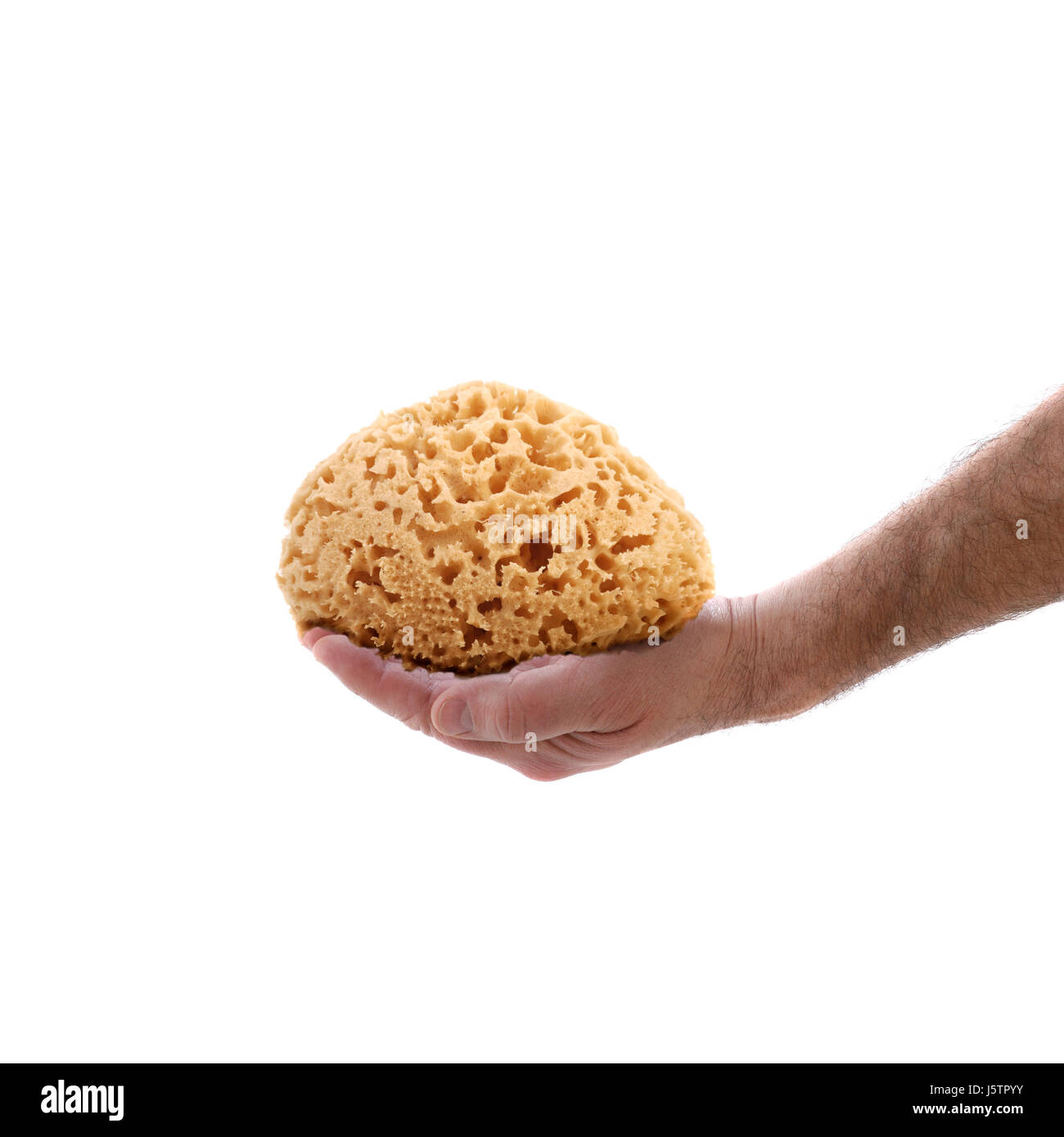 with natural sponge Stock Photo - Alamy