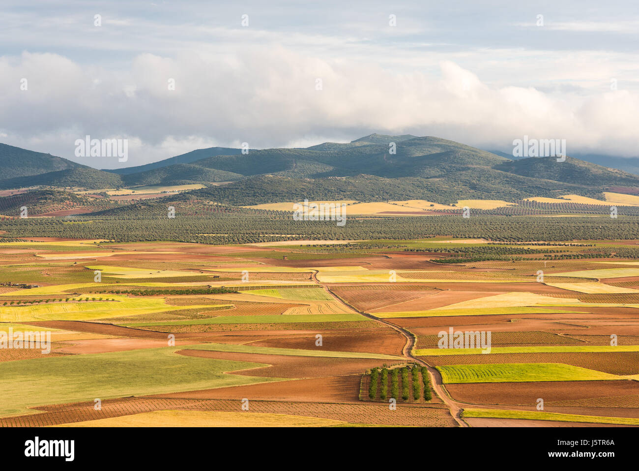 Rural farming landscape in Castila La Mancha,Spain with mountains in ...